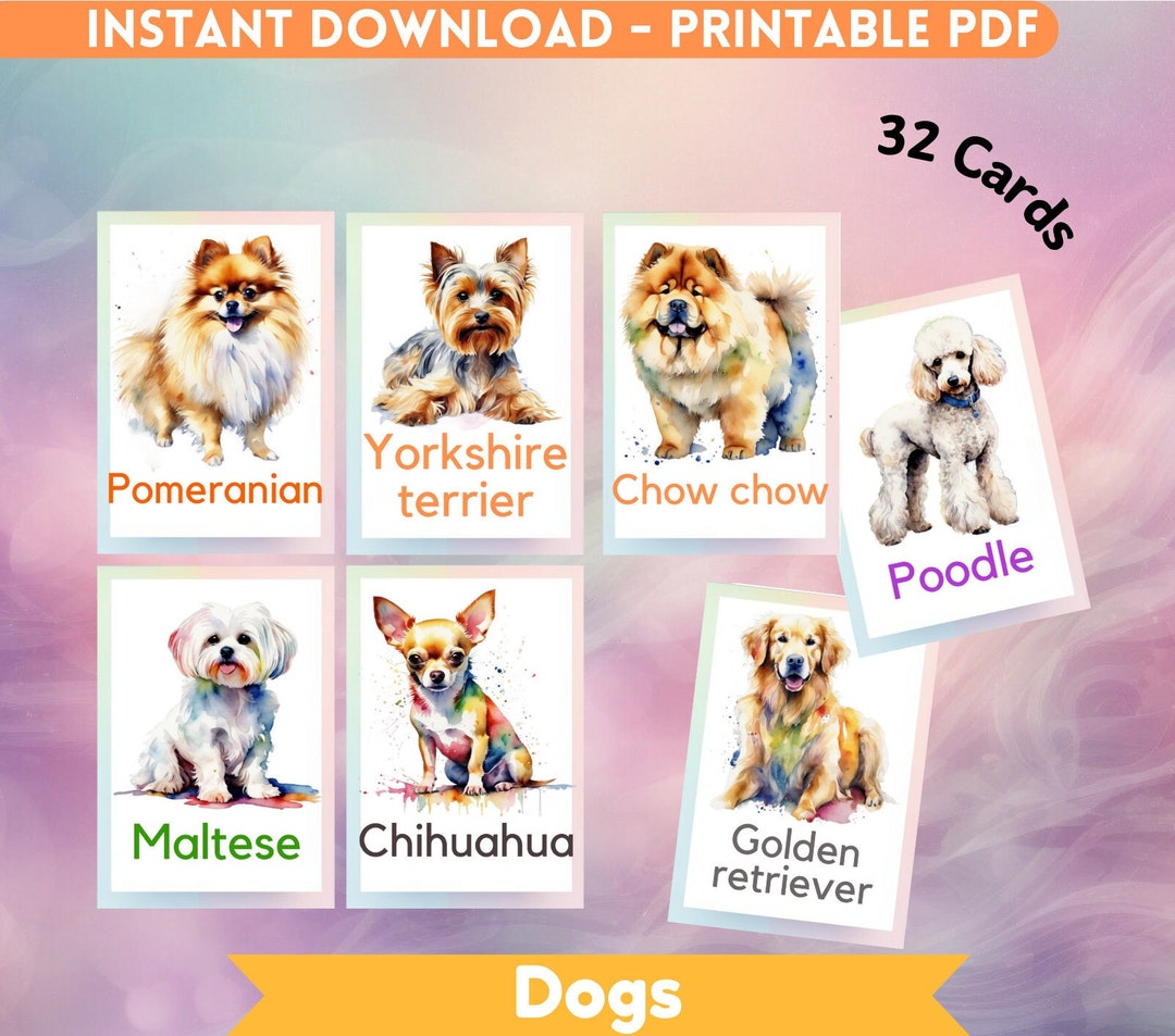 Dog Flashcard Printable Dog Breed Flash Card Homeschooling Montessori ...