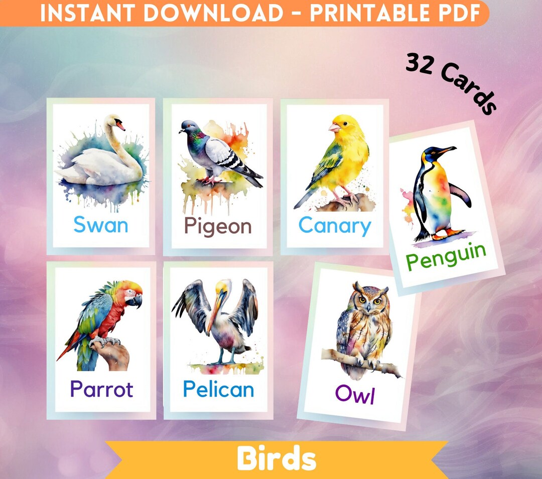 Bird Flashcard Printable Flight Bird Species Flash Card Homeschooling ...