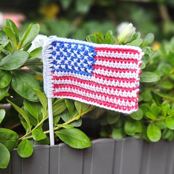Mini Flag Garland - Etsy