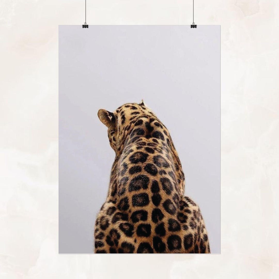 Leopard Classy Posters Chic Home Decor Wall Art Prints, Animal Print ...