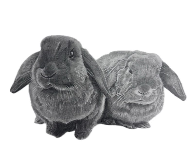 Rabbit Wall Art Realistic Bunny Gift Rabbit Lover Wall Art Lop Bunny ...