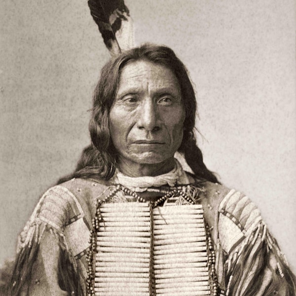 Chief Red Cloud - Etsy