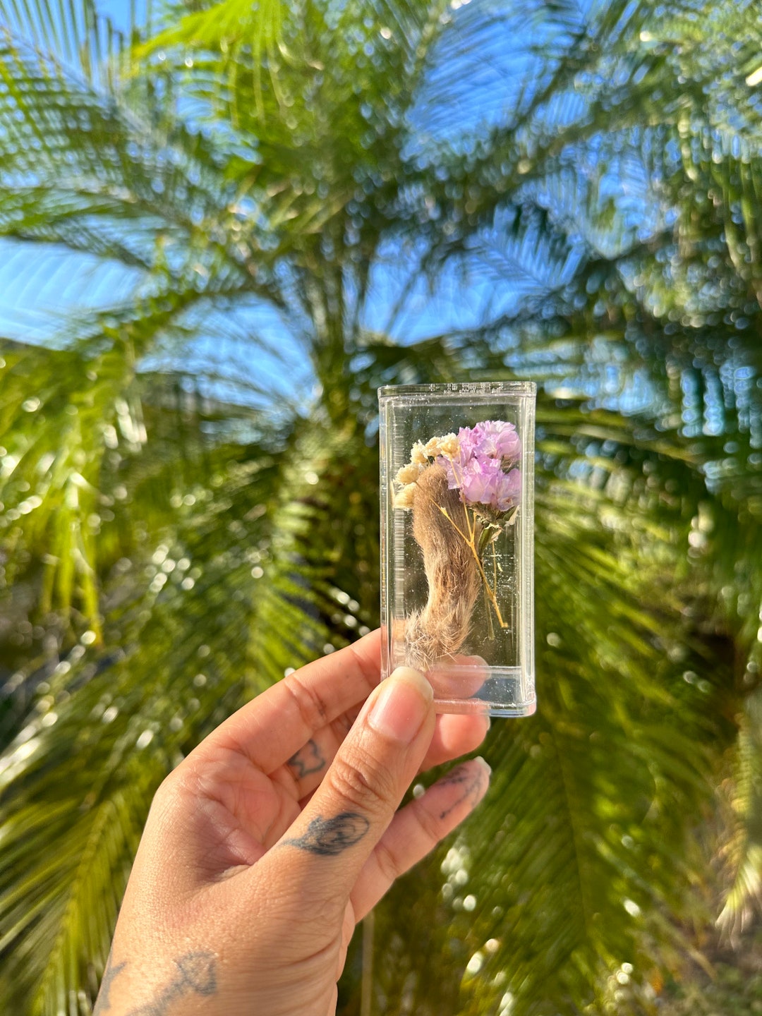 Oddities Mini Lucky Rabbits Foot - Etsy