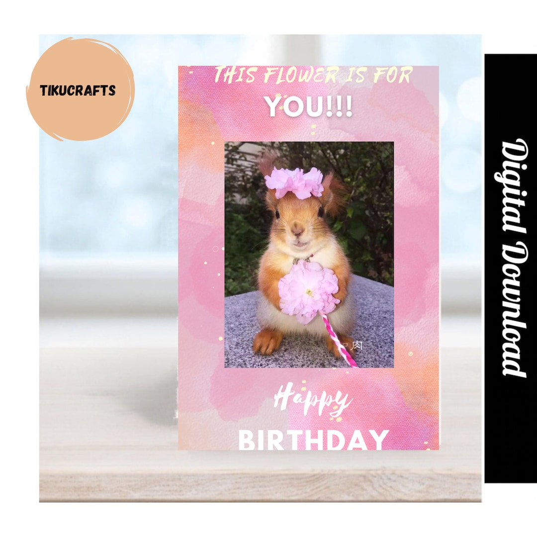 Cute Birthday Cards - Etsy