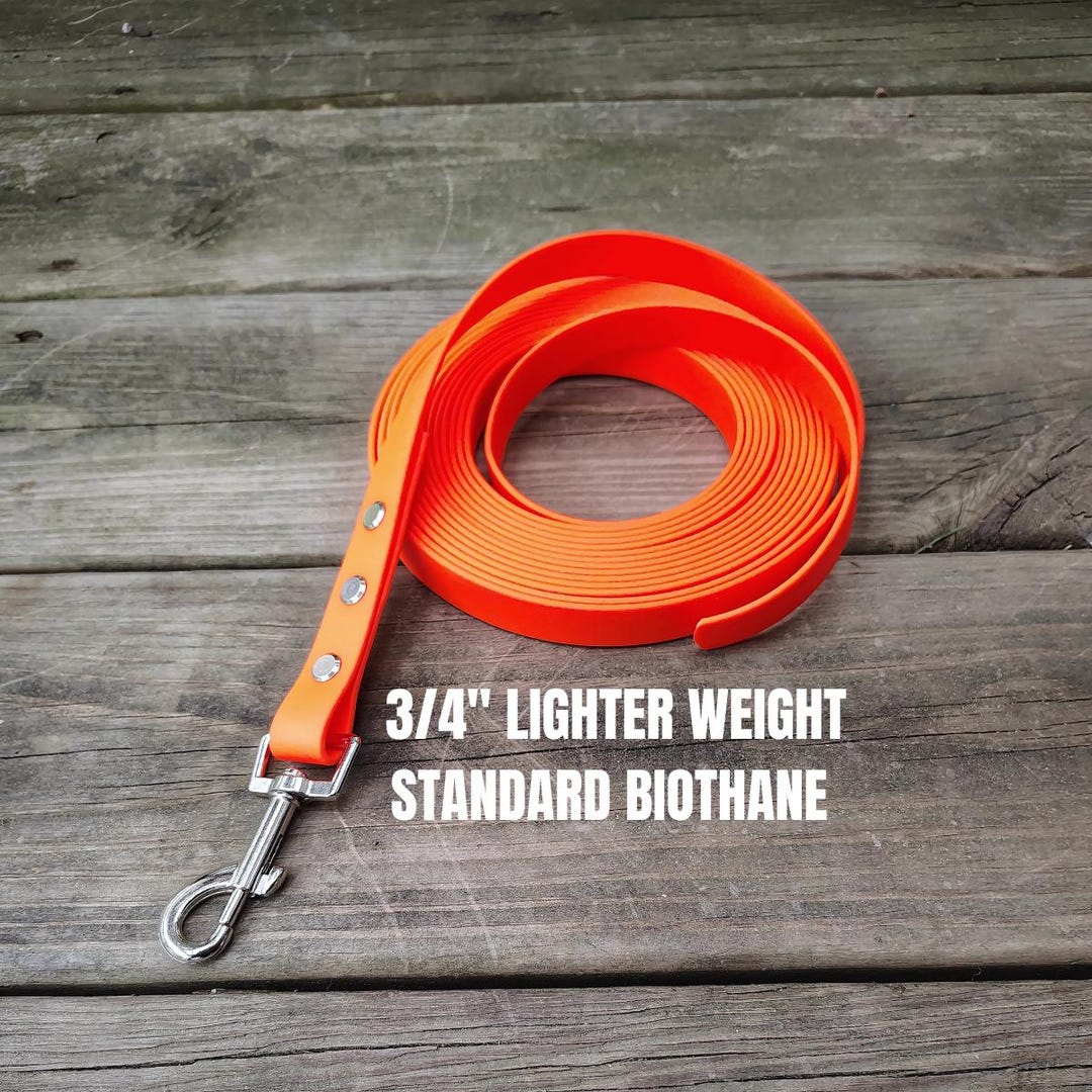 Biothane Dog Check Line, 3/4" Light Weight Dog Tracking Training Lead ...