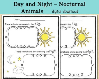 Nocturnal Animal Poster, Night Animals, Science, Homeschool Printable ...