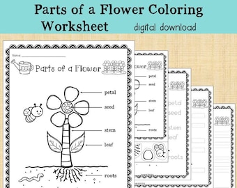 Parts of a Flower-montessori 3-part-cards - Etsy