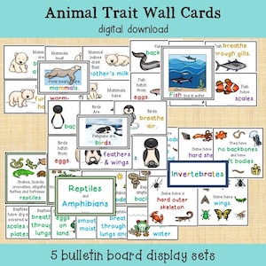 Animal Traits Wall Cards for Bulletin Board Printable - Etsy