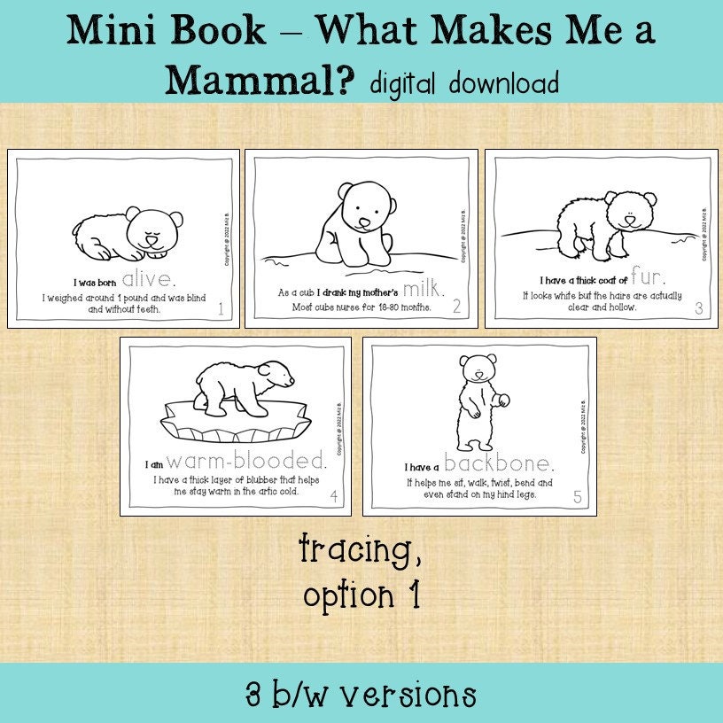 What Makes Me a Mammal Polar Bear Mini Coloring Book - Etsy
