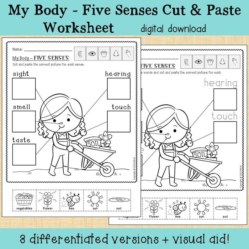 My Body - Five Senses Cut and Sort Worksheet - Etsy