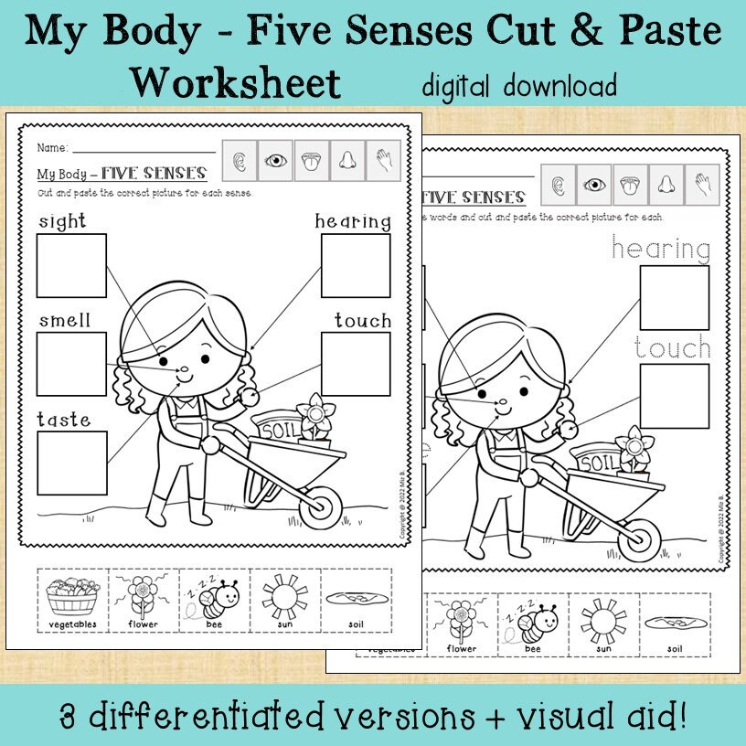 My Body - Five Senses Cut and Sort Worksheet - Etsy