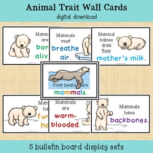 Animal Traits Wall Cards for Bulletin Board Printable - Etsy