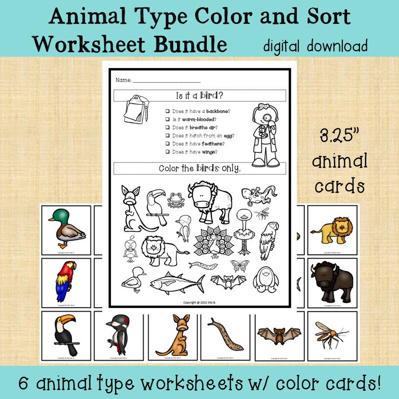 Animal Type / Classification Color and Sort Worksheets - Etsy