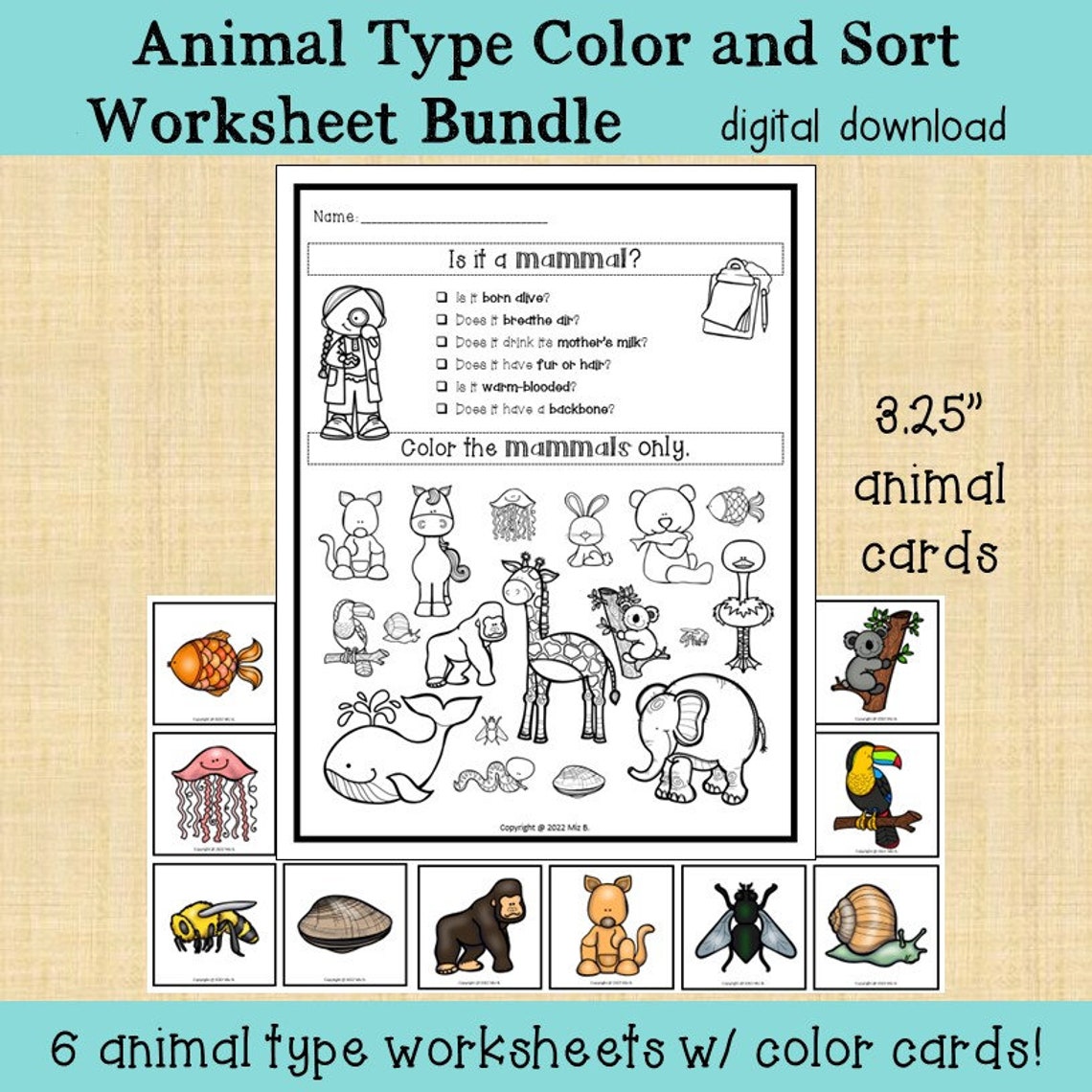 Animal Type / Classification Color and Sort Worksheets - Etsy