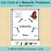 Life Cycle of an Insect - Monarch Butterfly Printable Worksheet - Etsy