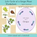 Life Cycle of a Plant - Grape Printable Worksheet - Etsy