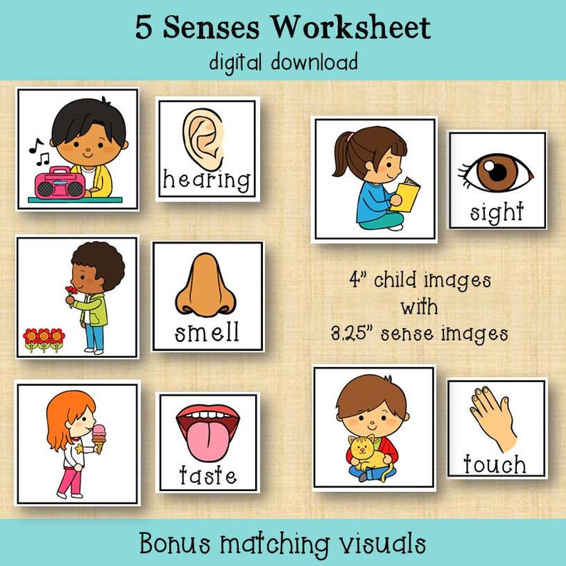 Five Senses Coloring Worksheet | No Prep Morning Work Bell Ringer - Etsy