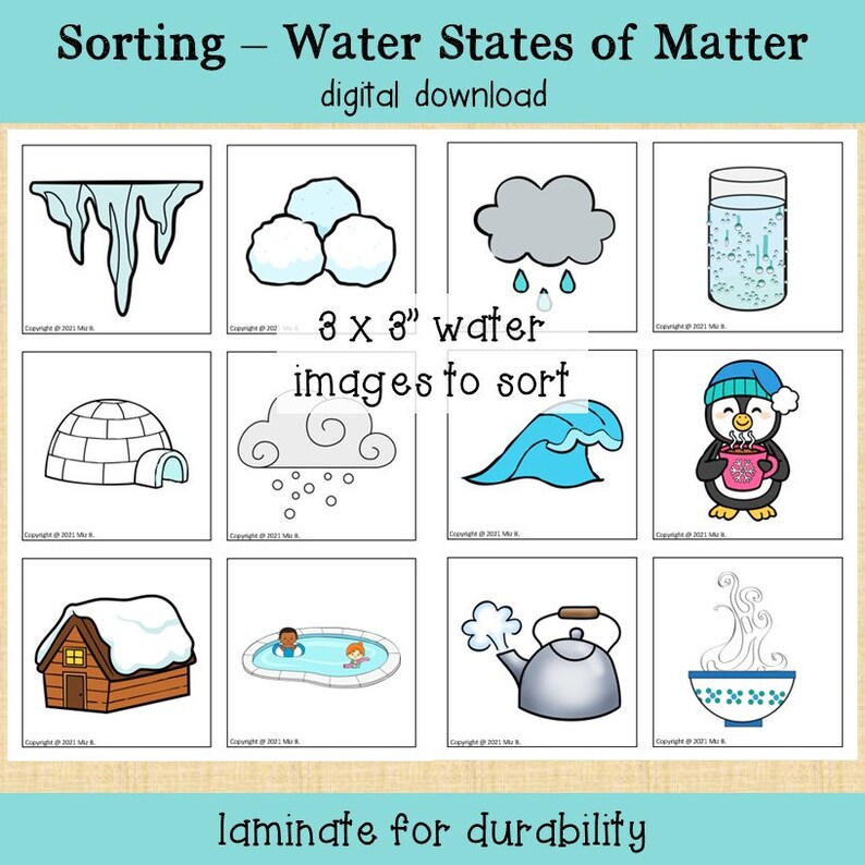Water States of Matter Sorting Activity - Etsy