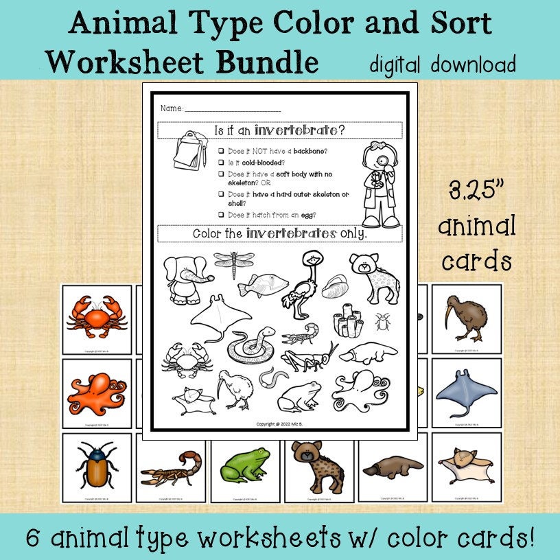Animal Type / Classification Color and Sort Worksheets - Etsy