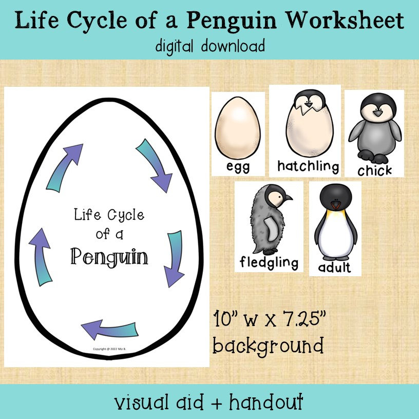 Life Cycle of a Bird - Penguin - Etsy