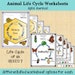 Animals Life Cycle Worksheet Bundle | Bird, Insect, Amphibian, Reptile ...