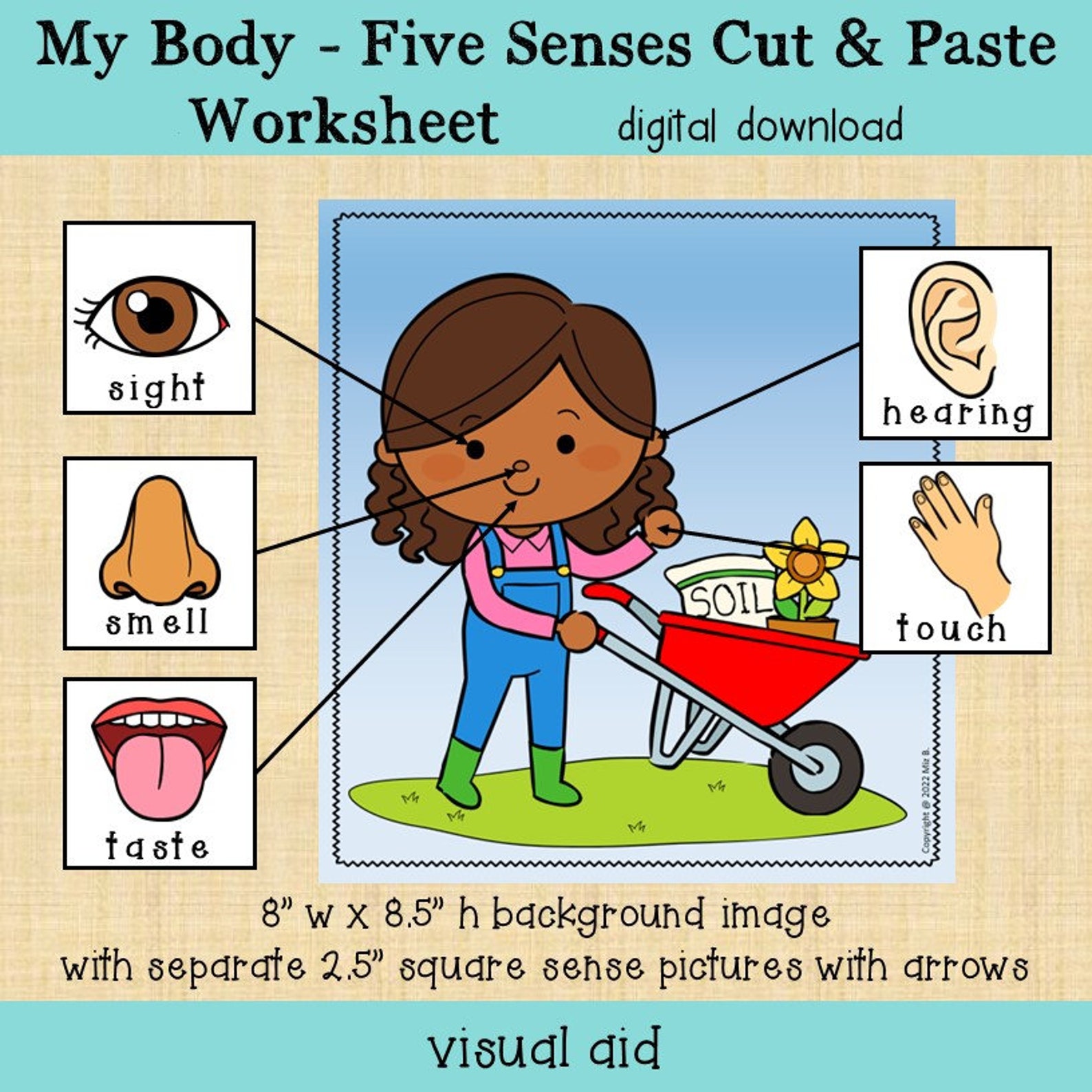 My Body - Five Senses Cut and Sort Worksheet - Etsy