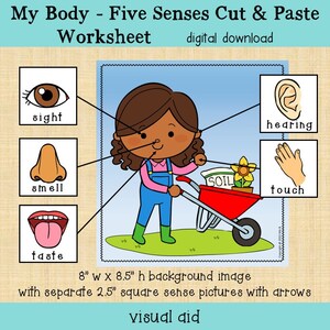 My Body - Five Senses Cut and Sort Worksheet - Etsy
