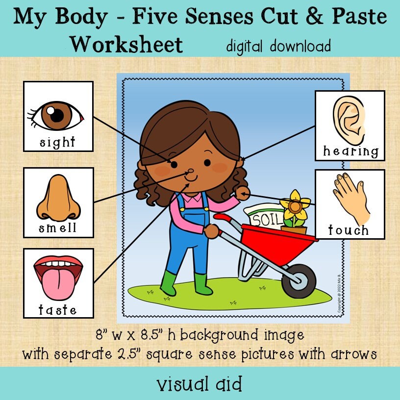 My Body - Five Senses Cut and Sort Worksheet - Etsy