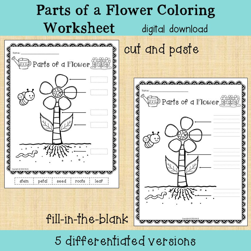 Parts of a Flower Coloring Worksheet - Etsy