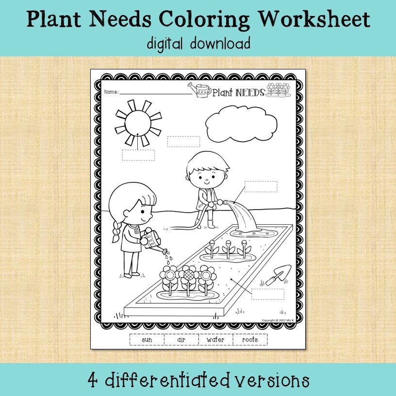 Plant Needs Worksheet | Science No Prep Coloring - Etsy