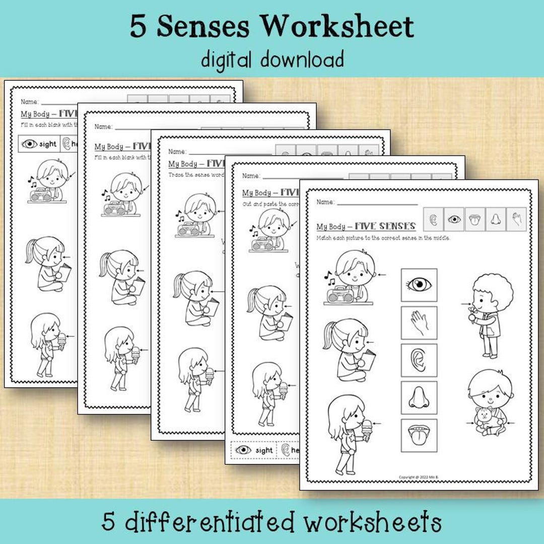 Five Senses Coloring Worksheet | No Prep Morning Work Bell Ringer - Etsy