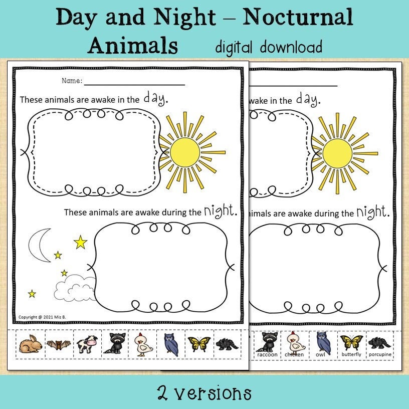 Day and Night - Nocturnal Animals - Etsy