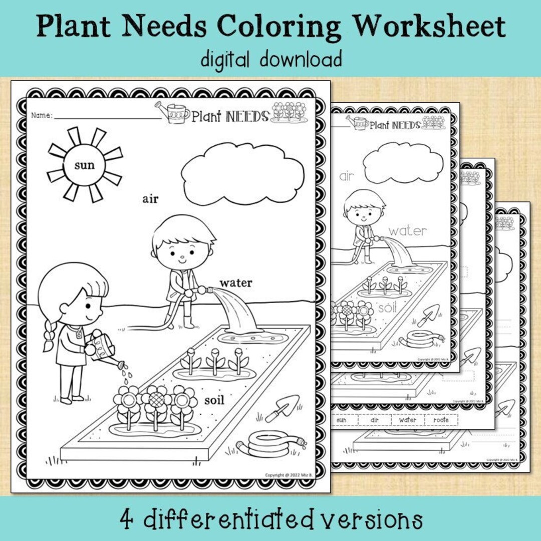 Plant Needs Worksheet | Science No Prep Coloring - Etsy