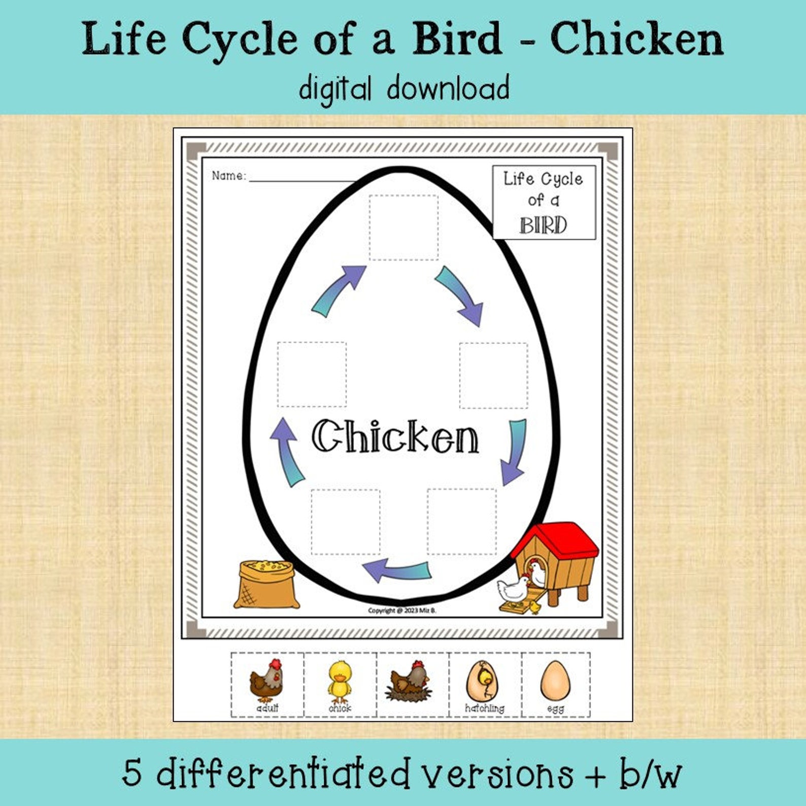 Life Cycle of a Bird - Chicken Printable Worksheet - Etsy