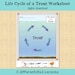 Life Cycle of a Trout Worksheet - Etsy