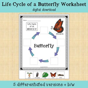 Life Cycle of an Insect - Monarch Butterfly Printable Worksheet - Etsy