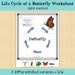 Life Cycle of an Insect - Monarch Butterfly Printable Worksheet - Etsy