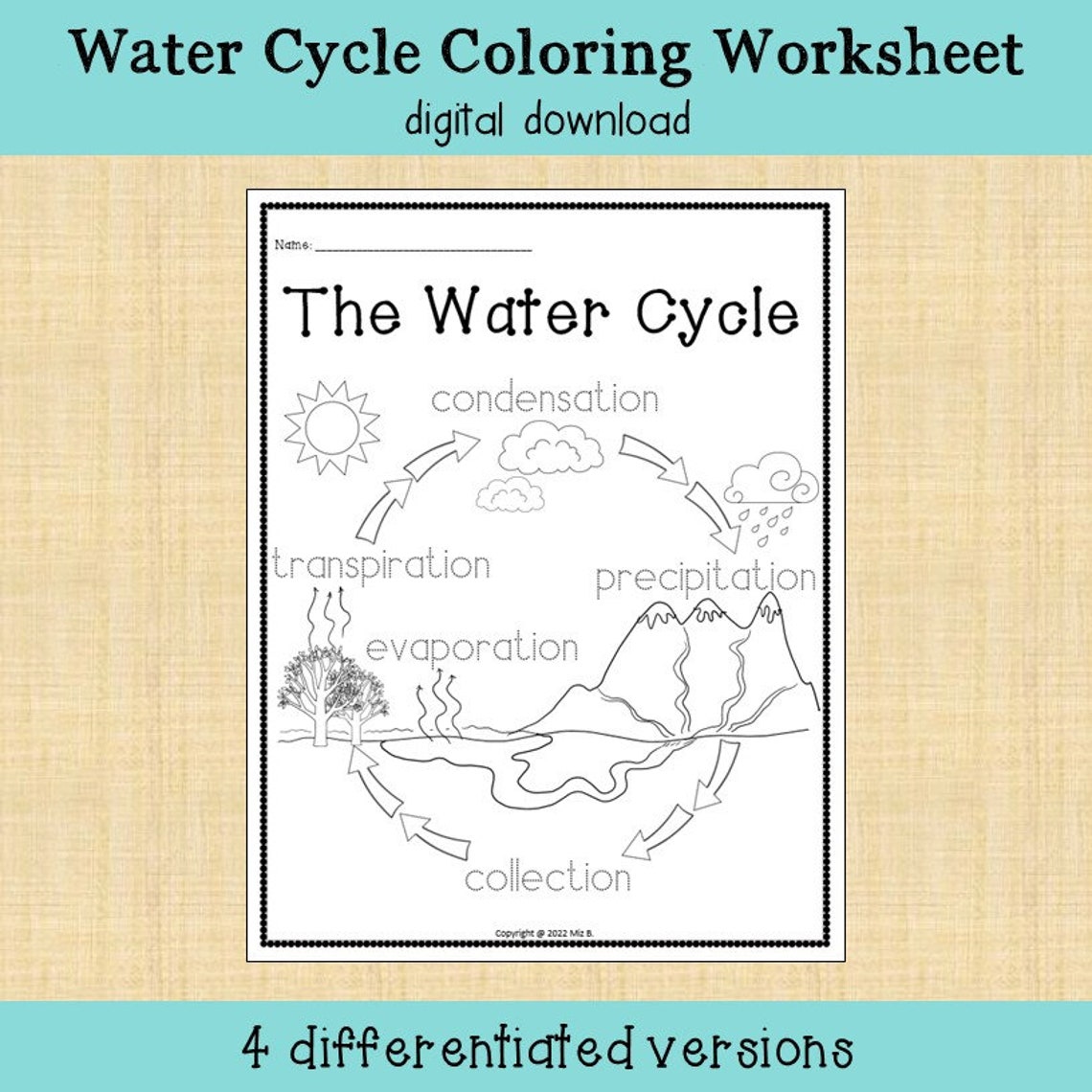 Water Cycle Coloring Worksheet - Etsy