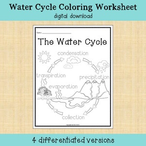 Water Cycle Coloring Worksheet - Etsy