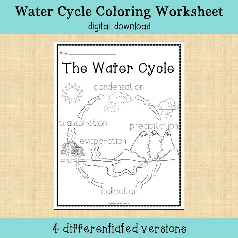 Water Cycle Coloring Worksheet - Etsy