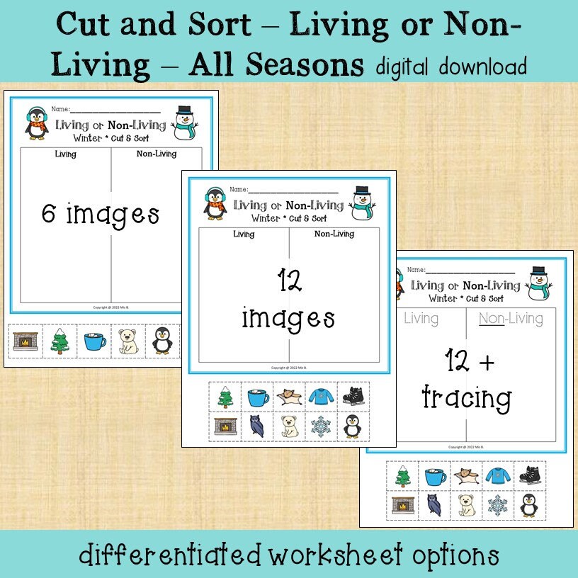 Living or Non-living Sorting Worksheet - All Seasons - Winter, Spring ...
