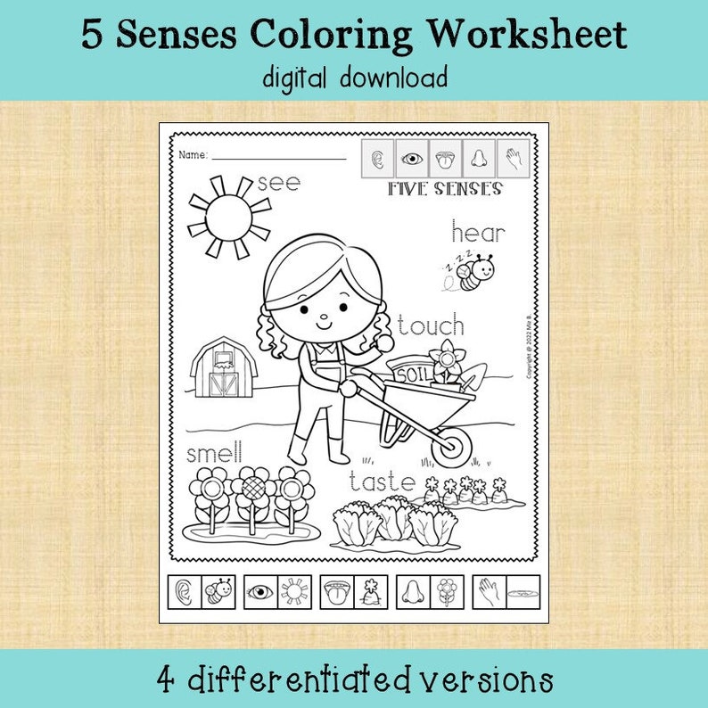 My Body - Five Senses Coloring Worksheet Printable - Etsy