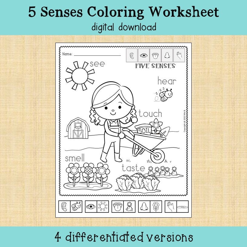 My Body - Five Senses Coloring Worksheet | Science No Prep - Etsy