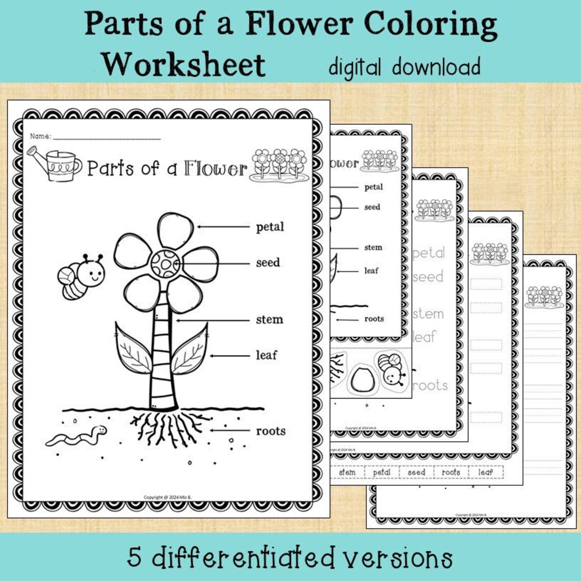 Parts of a Flower Coloring Worksheet - Etsy