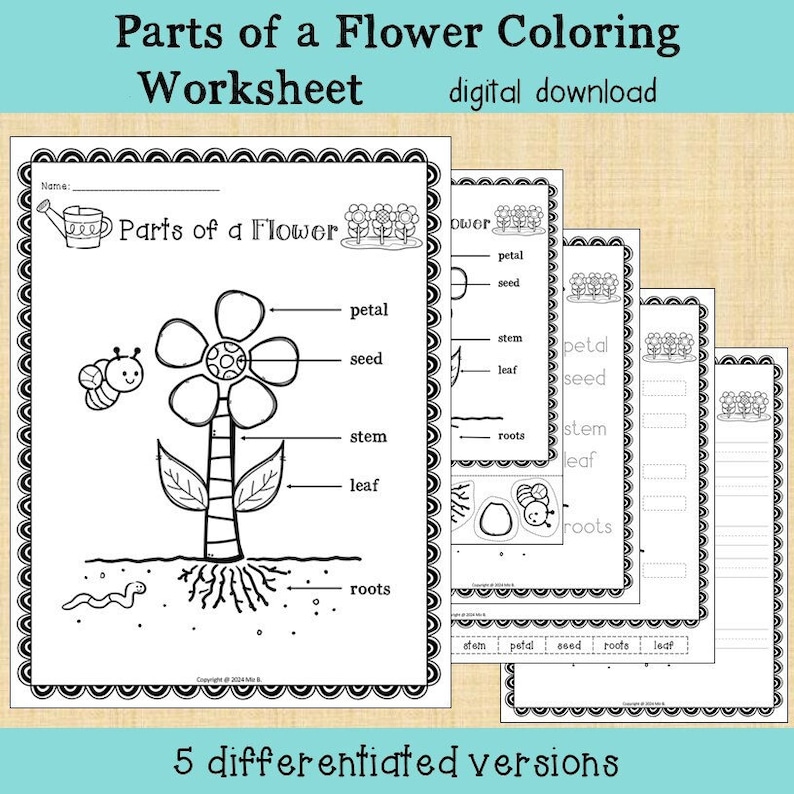 Parts of a Flower Coloring Worksheet - Etsy