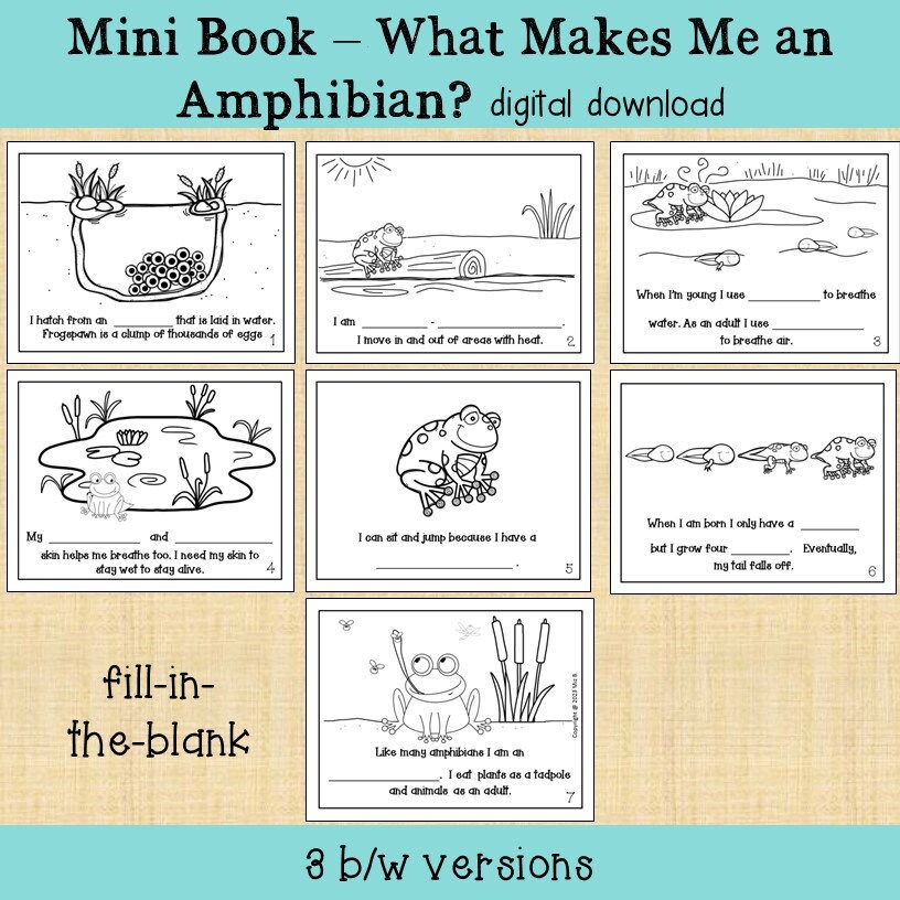 Animal Characteristics Mini Book Bundle | 6 Animal Classes - Etsy