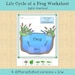 Life Cycle of an Amphibian - Frog Printable Worksheet - Etsy