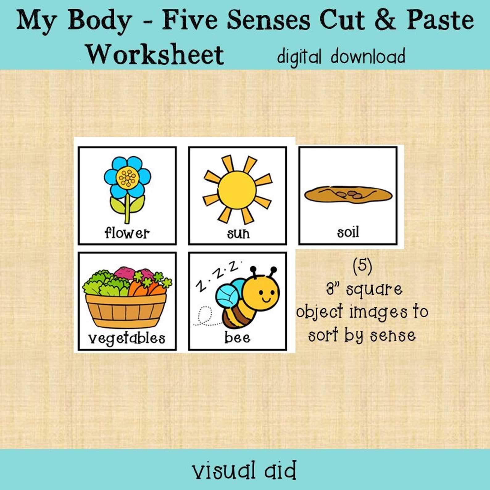 My Body - Five Senses Cut and Sort Worksheet - Etsy