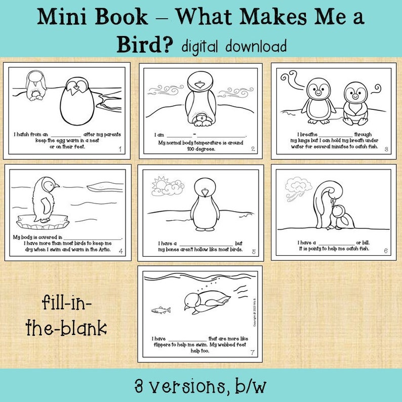 What Makes Me a Bird? Penguin Mini Coloring Book Printable - Etsy