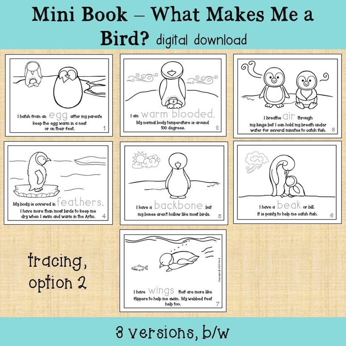 What Makes Me a Bird Penguin Mini Coloring Book Printable - Etsy